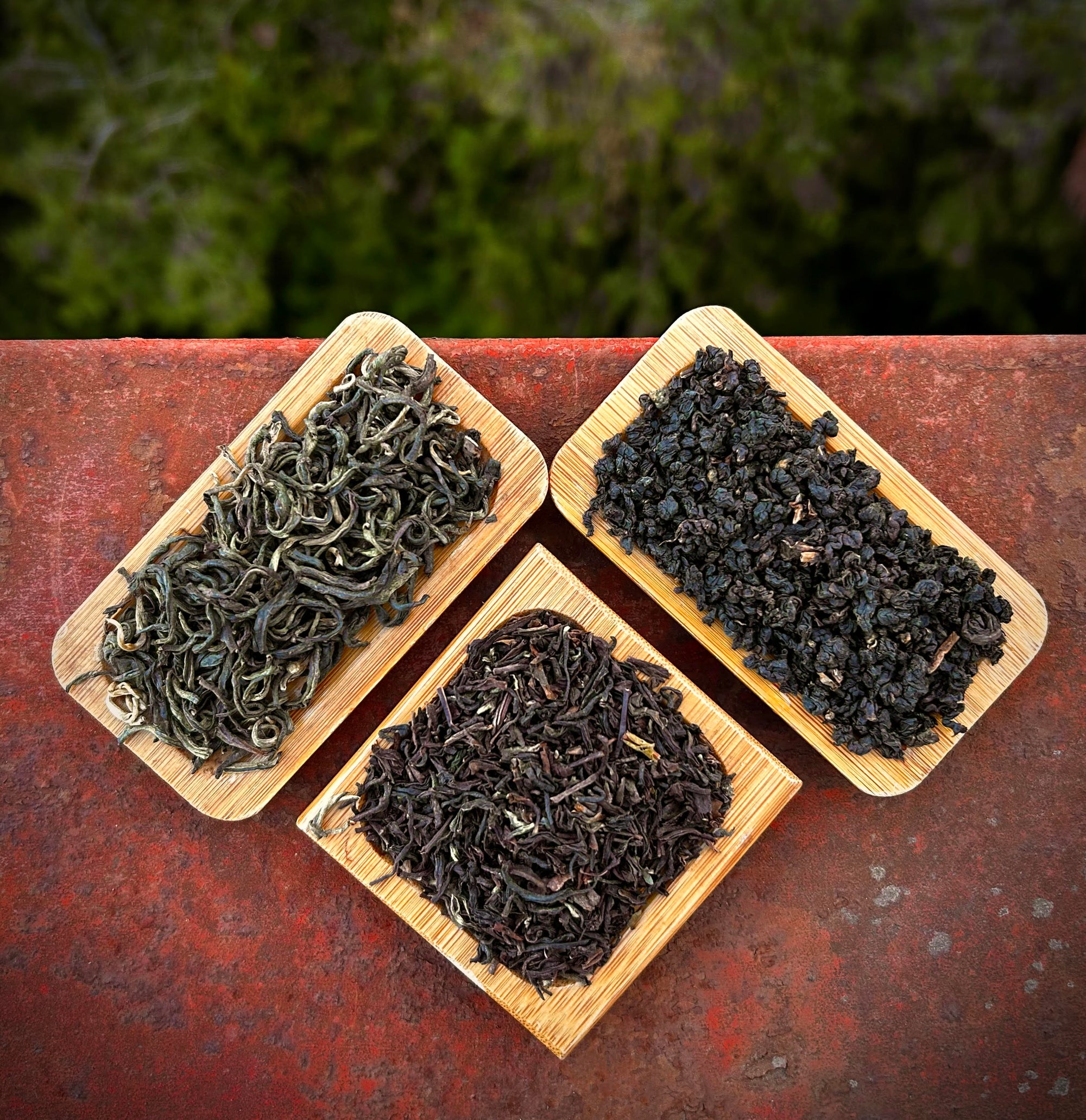 1000TEA Szaküzlet és Teaház